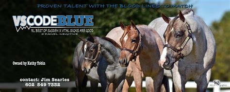 Vs Code Blue