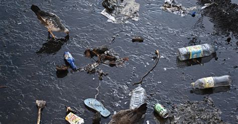 Las Cinco Islas De Plástico Que Contaminan Nuestros Océanos Dónde