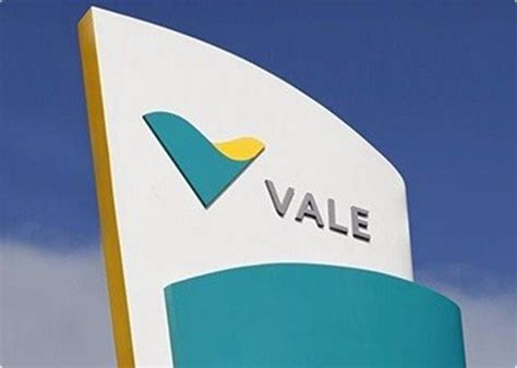 La Brasileña Vale Designa A Shaun Usmar Consejero Delegado De Su Filial