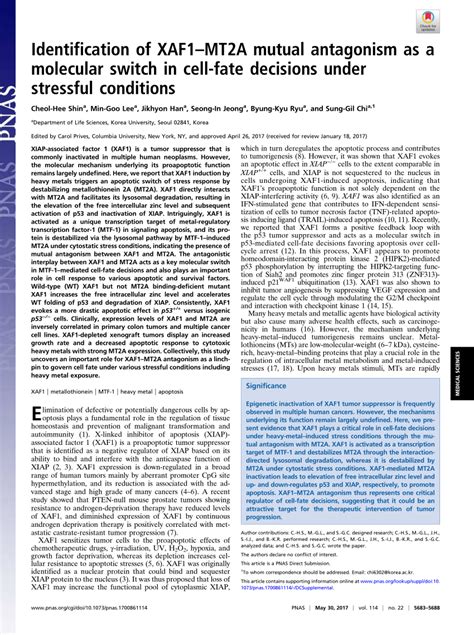 Pdf Identification Of Xaf1mt2a Mutual Antagonism As A Molecular
