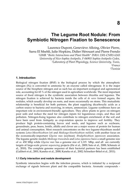 Pdf The Legume Root Nodule From Symbiotic Nitrogen Fixation To
