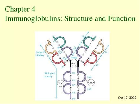 Ppt Chapter Immunoglobulins Structure And Function Powerpoint Presentation Id