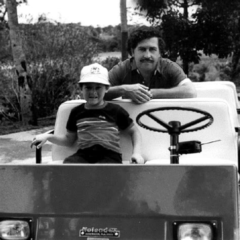 “mi Arca De Noé” La Increíble Historia Del Zoo De Pablo Escobar Y Cómo