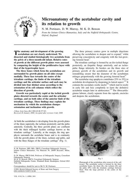 Pdf Microanatomy Of The Acetabular Cavity And Its Relation To Growth