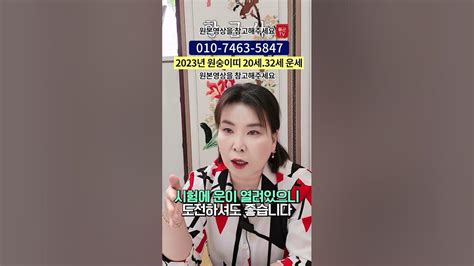 2023년 계묘년 원숭이띠 20세 32세 운세 용군tv 황금사 Shorts Youtube