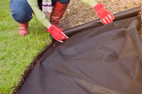 19 Things Your Landscaper Wont Tell You Artofit