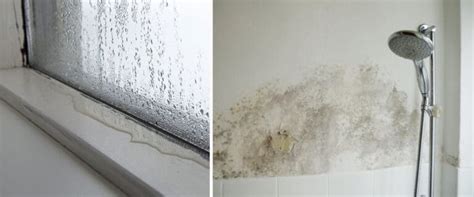 Ideas Para Forrar Una Pared Con Humedad