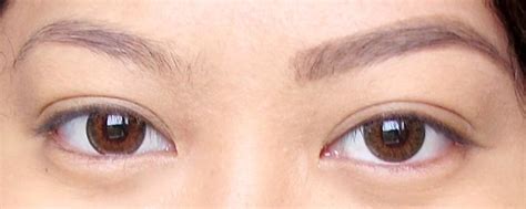 Tutorial How To Create Strong Yet Flattering Eyebrows Project Vanity