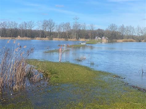 Afsluiten Kleine Gedeelte Dam Verwijderen Gevaarlijke Bomen