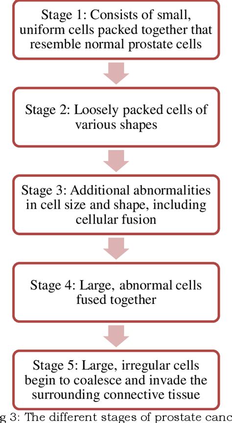 Figure 3 From Deep Dna Machine Learning Model To Classify The Tumor Genome Of Patients With