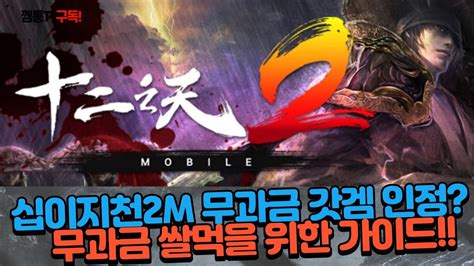 십이지천2m 무소과금 갓겜 쌀먹 필독 초반육성방법 공개 Youtube