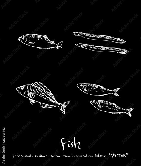 Стоковий вектор 해산물 일러스트 손으로 그린 수산물 그림 Adobe Stock