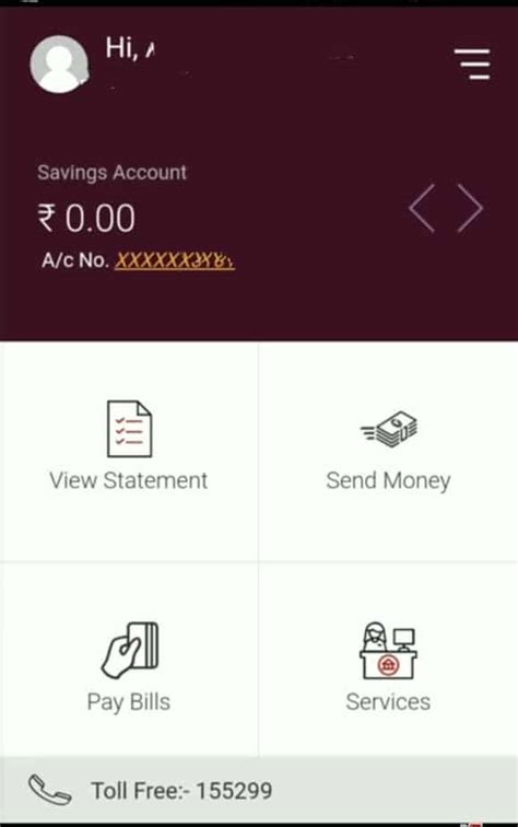 IPPB App Review How To Set Up Features Benefits Limitations