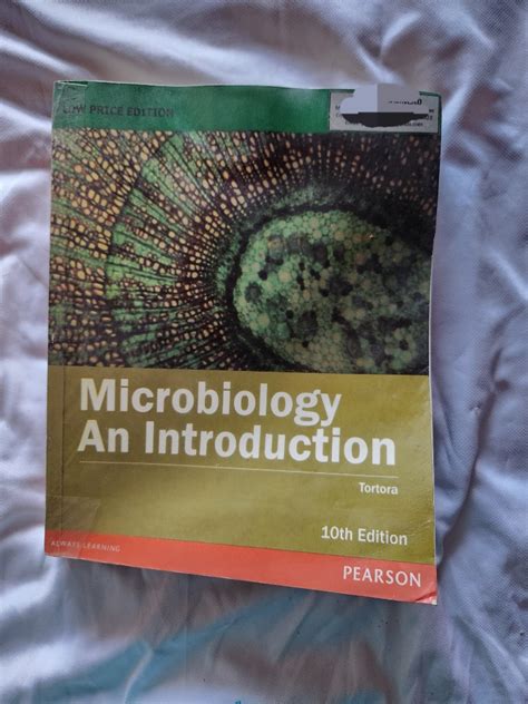 Microbiology An Introduction Th Edition Hobbies Toys Books Magazines Textbooks On Carousell