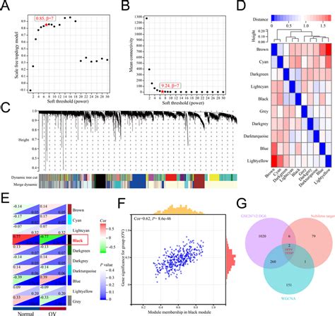 WGCNA Analysis A Network Topology Across Different Soft Thresholding