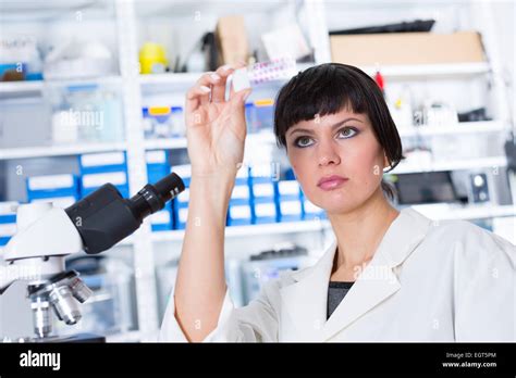 Microscope Glass Slides Hi Res Stock Photography And Images Alamy