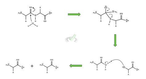 Enzyme Models And Classification On The Mcat Medlife Mastery