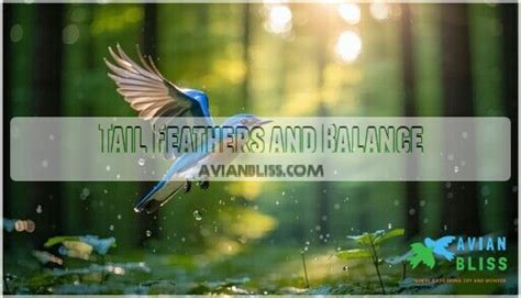 Bird Facts About Feathers Structure Types And Fascinating Functions