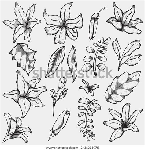Florar Pattern Over 132 Royalty Free Licensable Stock Illustrations