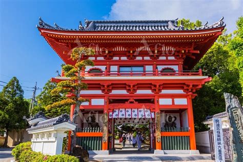 徳島県 四国八十八箇所霊場第三番札所 金泉寺 仁王門 25521867 の写真素材 アフロ