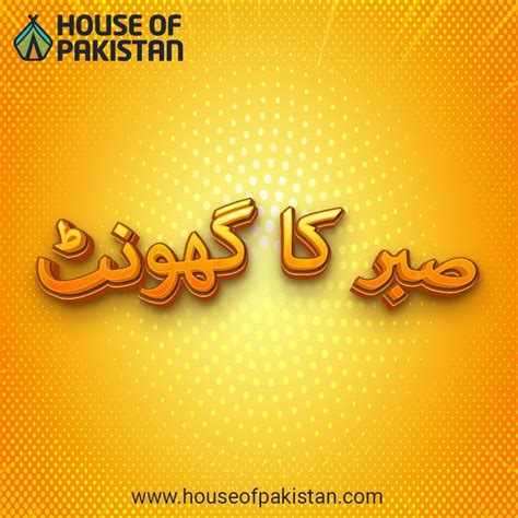 Urdu Quotes Enamel Pins