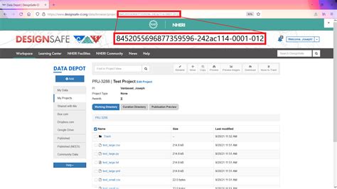 Setting Path To Ds On Corral Designsafe User Guide