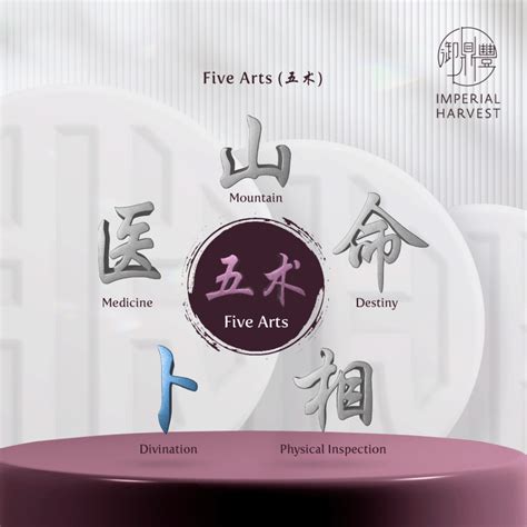 The Art Of Divination In Chinese Metaphysics Imperial Harvest