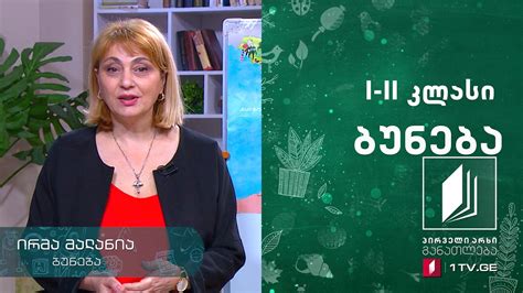 ბუნება I Ii კლასი უსაფრთხო დასვენება ბუნებაში ტელესკოლა 1tv Ii კლასი