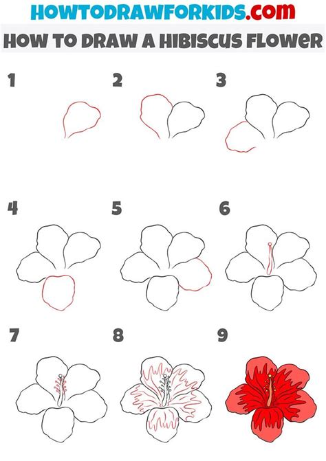 How To Draw A Hibiscus Flower Step By Step In 2023 Hibiscus Flower