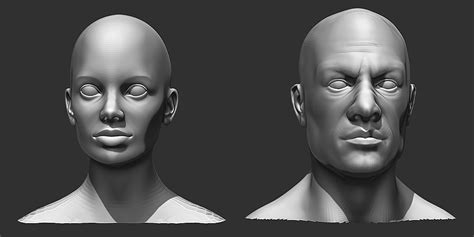 Male And Female Head Realistic Base Mesh 2 Blender Market