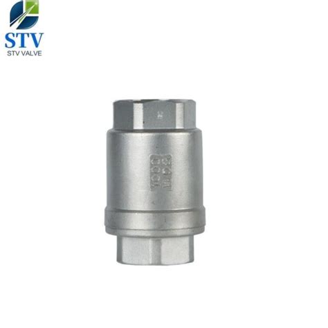 Stainless Steel Screwed Spring Check Valve Dn40npt End China Valve