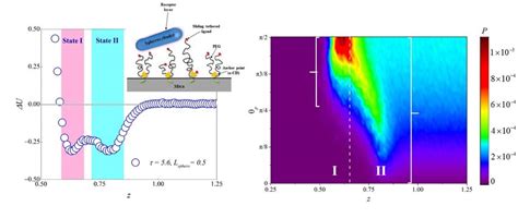 A Effective Adsorption Potential Of The Anisotropic Particle And The Download Scientific