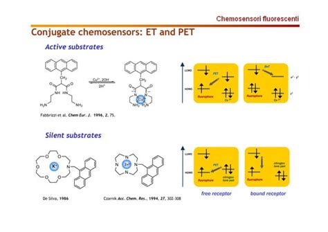 Chemo Sensor Ppt Pdf