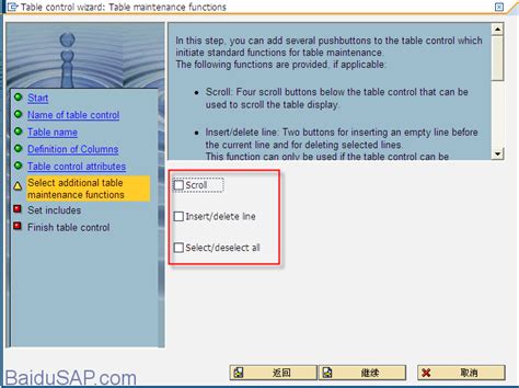 控件开发 创建table control教程 摆渡sap