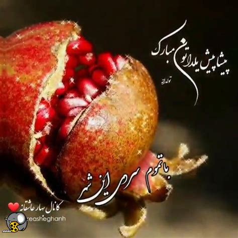 پیشاپیش یلداتون مبارکشب اول زمستونو فیلو
