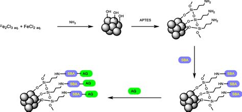 Reaction Scheme Of The Particle Functionalization Starting Alkaline