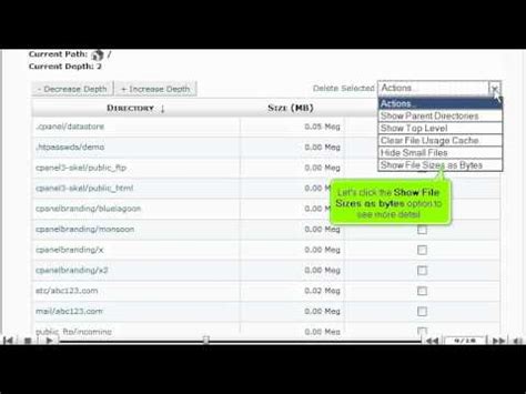 Using The Disk Usage Viewer In CPANEL CPANEL Video Tutorials CPANEL