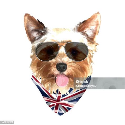 요크셔 테리어 초상화 안경과 영국 국기 두건에 귀여운 멋진 개 벡터 일러스트 레이 션 T 셔츠에 대한 스톡 벡터 아트 및 기타 이미지 T 셔츠 강아지 개 강아지 어린