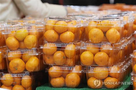19년만에 2년 연속 고물가공공요금 역대 최대폭 급등종합2보 나무뉴스