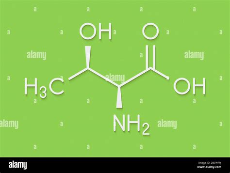 Threonine L Threonine Thr T Amino Acid Molecule Skeletal Formula