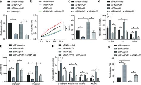 P53 Targeting Lncrna Pvt1 Restrains Glioma Cell Proliferation