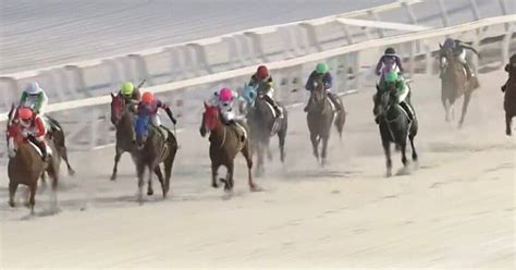 613門別競馬と闘うnote12rパドック後予想（三連単）｜馬人all The People