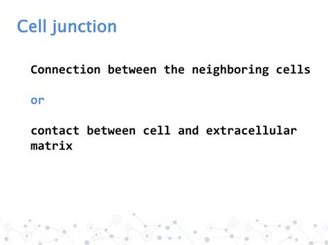 Cell Junction And Junctional Complexes Ppt