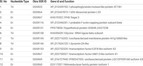 list of polymorphic primers with predicted function based on sequence