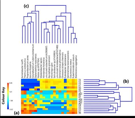 A Heatmap Defined On The Centered Log Ratio Clr Based Values Of The