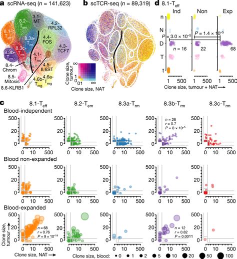 T Cell Clusters And Clonal Expansion A Cluster Analysis T Cells From