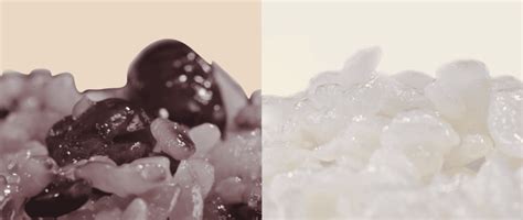 Jht10 The Best Twin Pressure Cooker Cuckoo Singapore