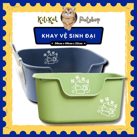 Khay Vệ Sinh Cho Mèo Cao Cấp Size Lớn Nhà Vệ Sinh Size To Cho Mèo đến