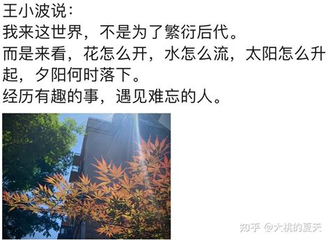 求助一段据说是王小波的话的出处 知乎