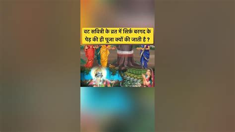 वट सवित्री के व्रत में सिर्फ़ बरगद के पेड़ की ही पूजा क्यों की जाती है